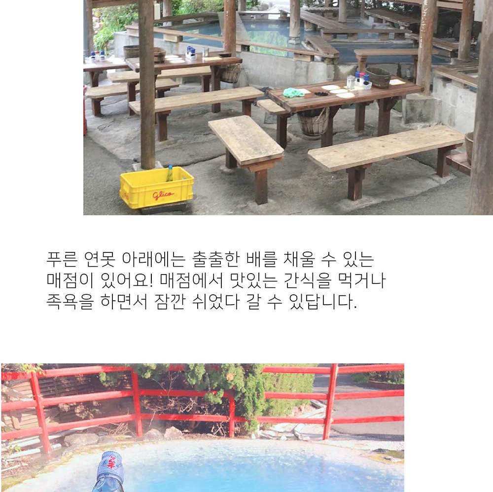 유후인 And 유후다케 And 벳부 유노하나 And 가마도지옥 일일 버스투어 한국어 가이드 후쿠오카 출발 클룩 Klook 한국